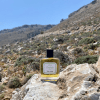 About Thyme | Thursday Fragrance