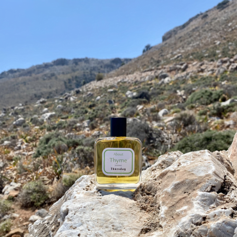 About Thyme | Thursday Fragrance